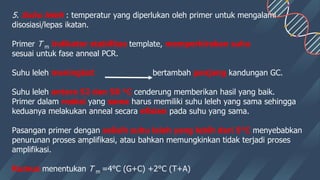 KELOMPOK 3 PRIMER.pptx