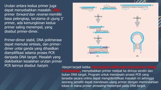KELOMPOK 3 PRIMER.pptx
