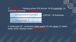 KELOMPOK 3 PRIMER.pptx