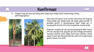 Anomali Batang Pohon Kelapa | PPTX