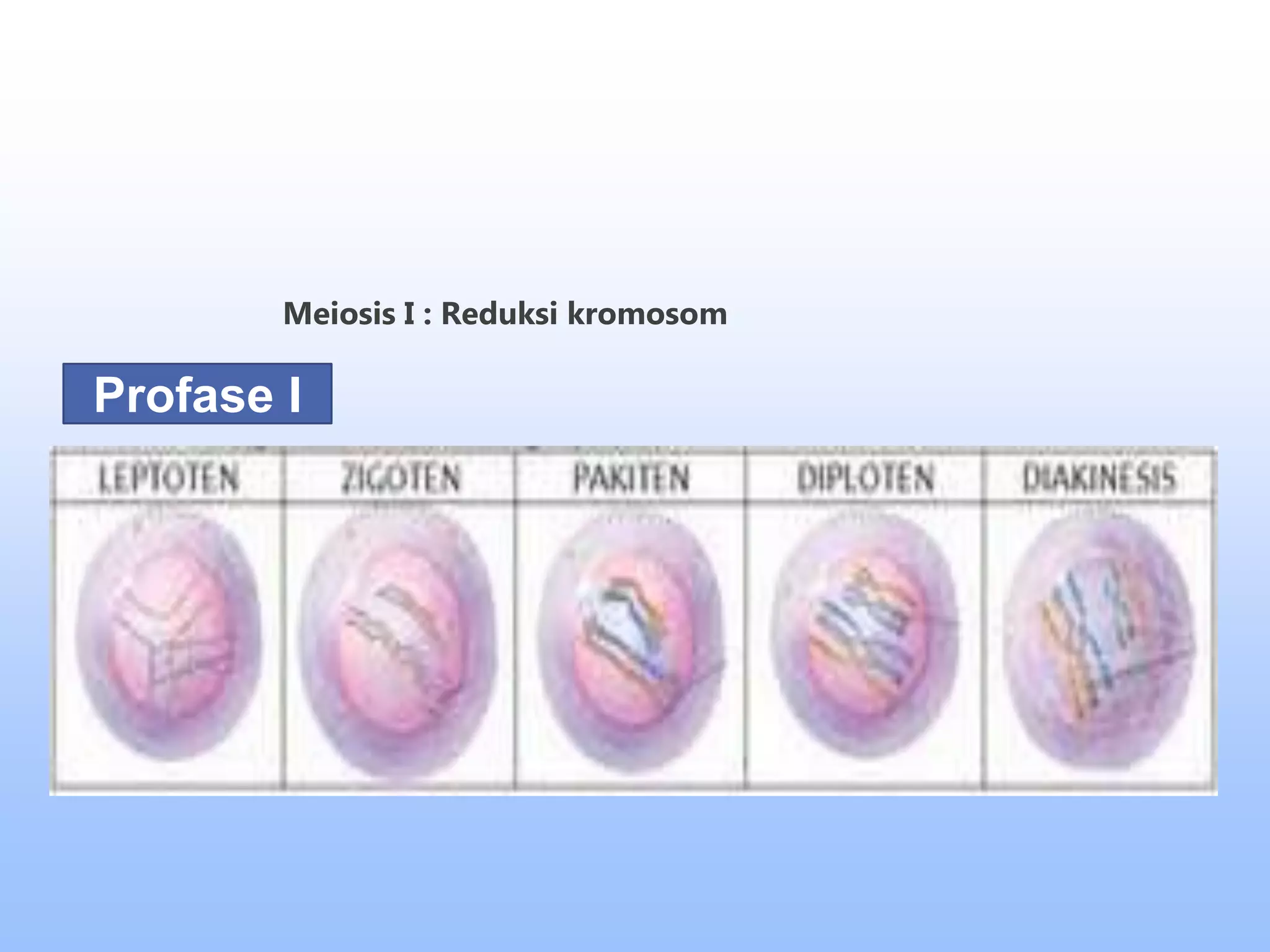 Anatomi Tumbuhan - Reproduksi Sel | PPTX