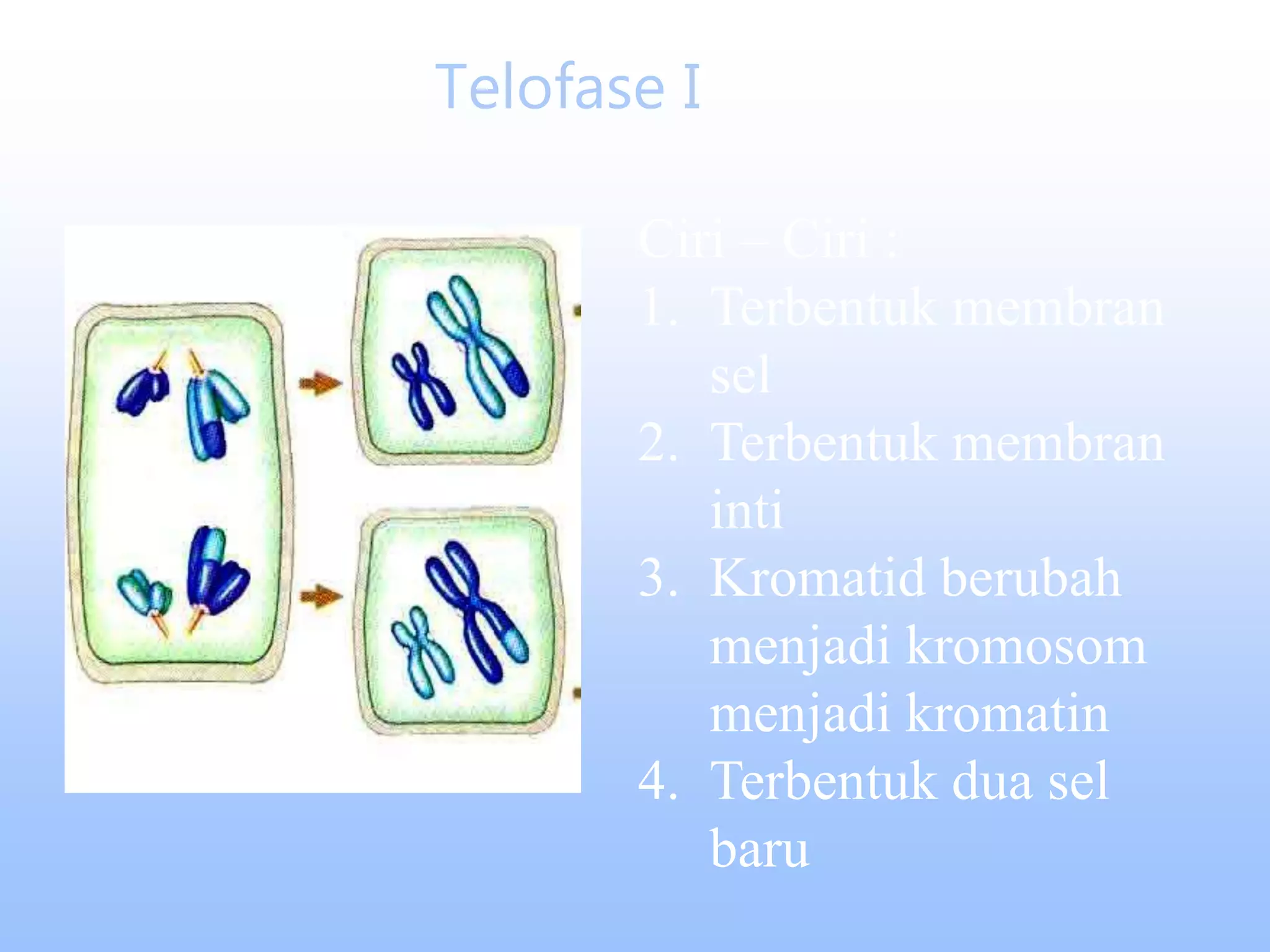 Anatomi Tumbuhan - Reproduksi Sel | PPTX