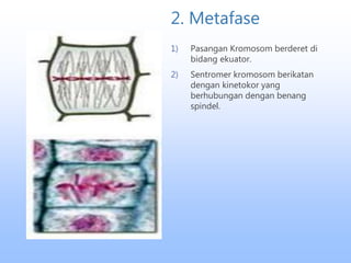 Anatomi Tumbuhan - Reproduksi Sel | PPTX