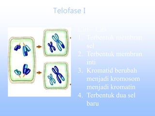 Anatomi Tumbuhan - Reproduksi Sel | PPTX