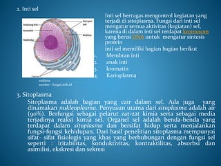 Kelompok 3 (sel) | PPTX