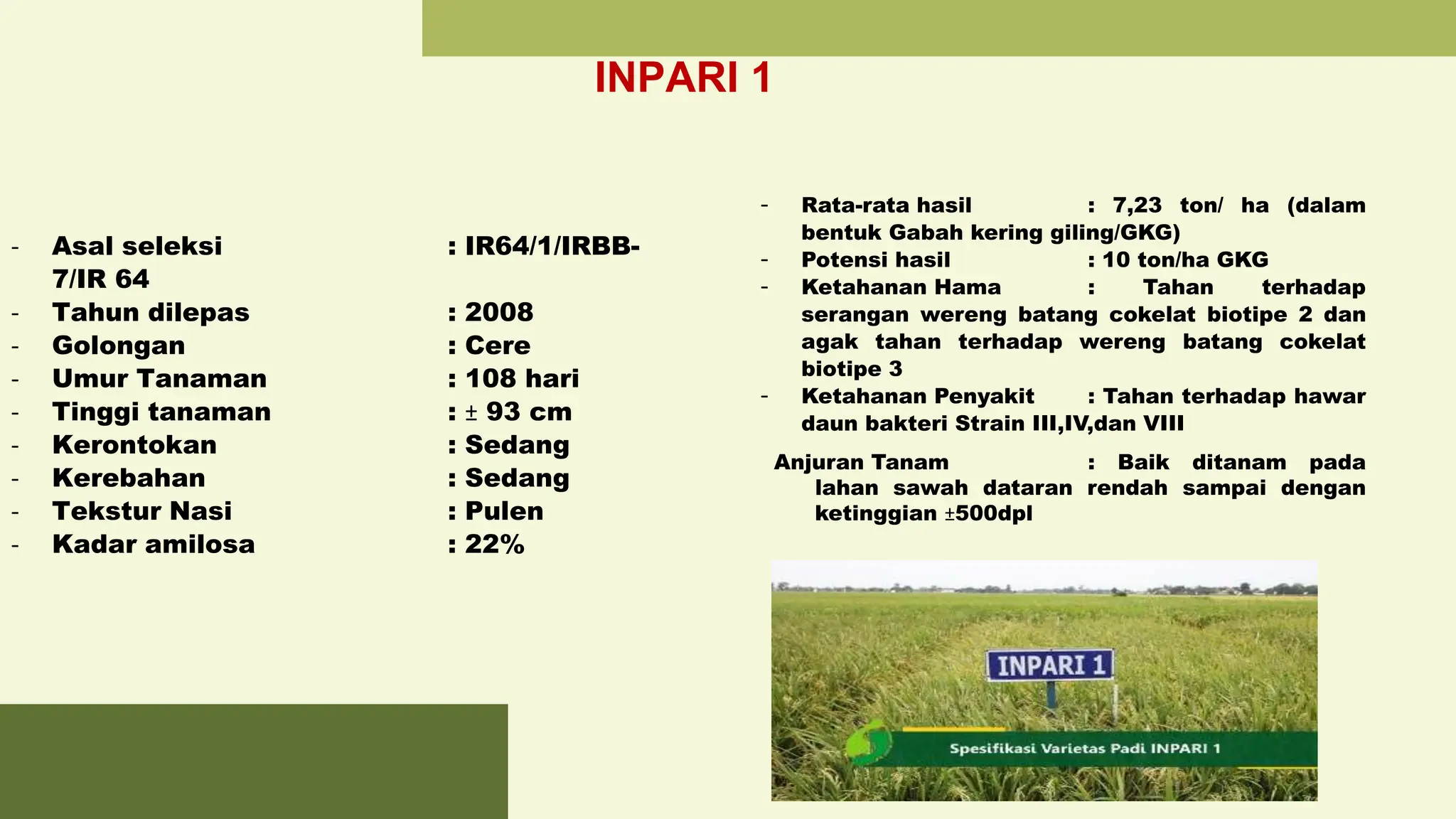 KELOMPOK 3_VARIETAS -VARIETAS PADI-2.pptx