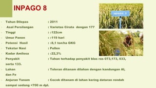 KELOMPOK 3_VARIETAS -VARIETAS PADI-2.pptx