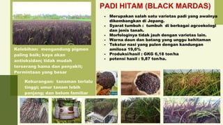 KELOMPOK 3_VARIETAS -VARIETAS PADI-2.pptx