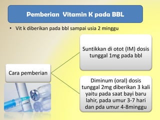 Vitamin K untuk BBL | PPTX