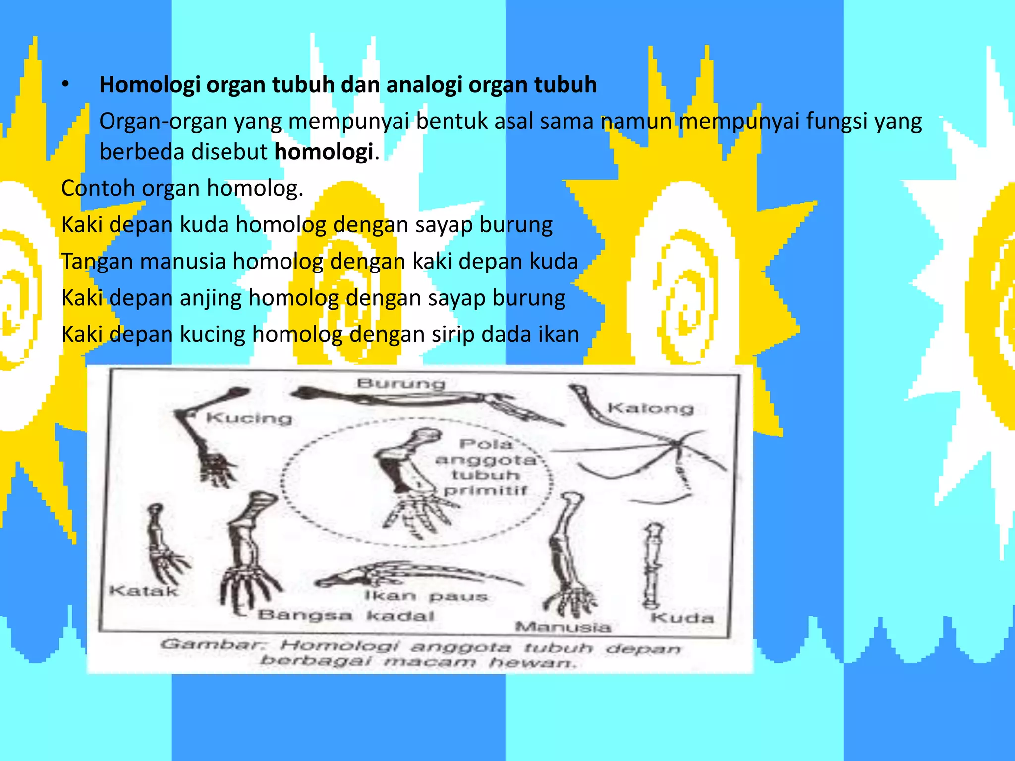 teori evolusi dan petunjuk adanya evolusi | PPT