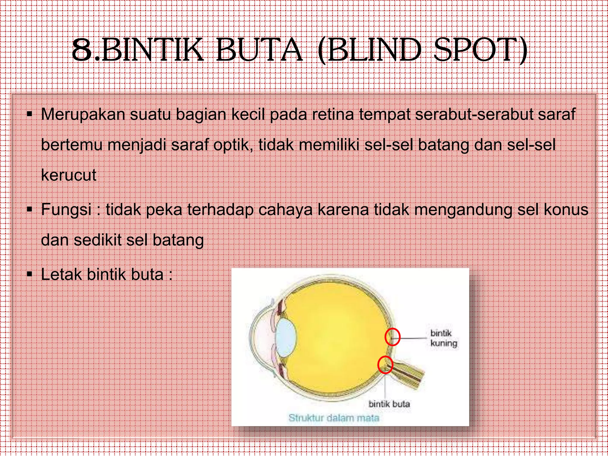 Kelompok 4 | PPTX