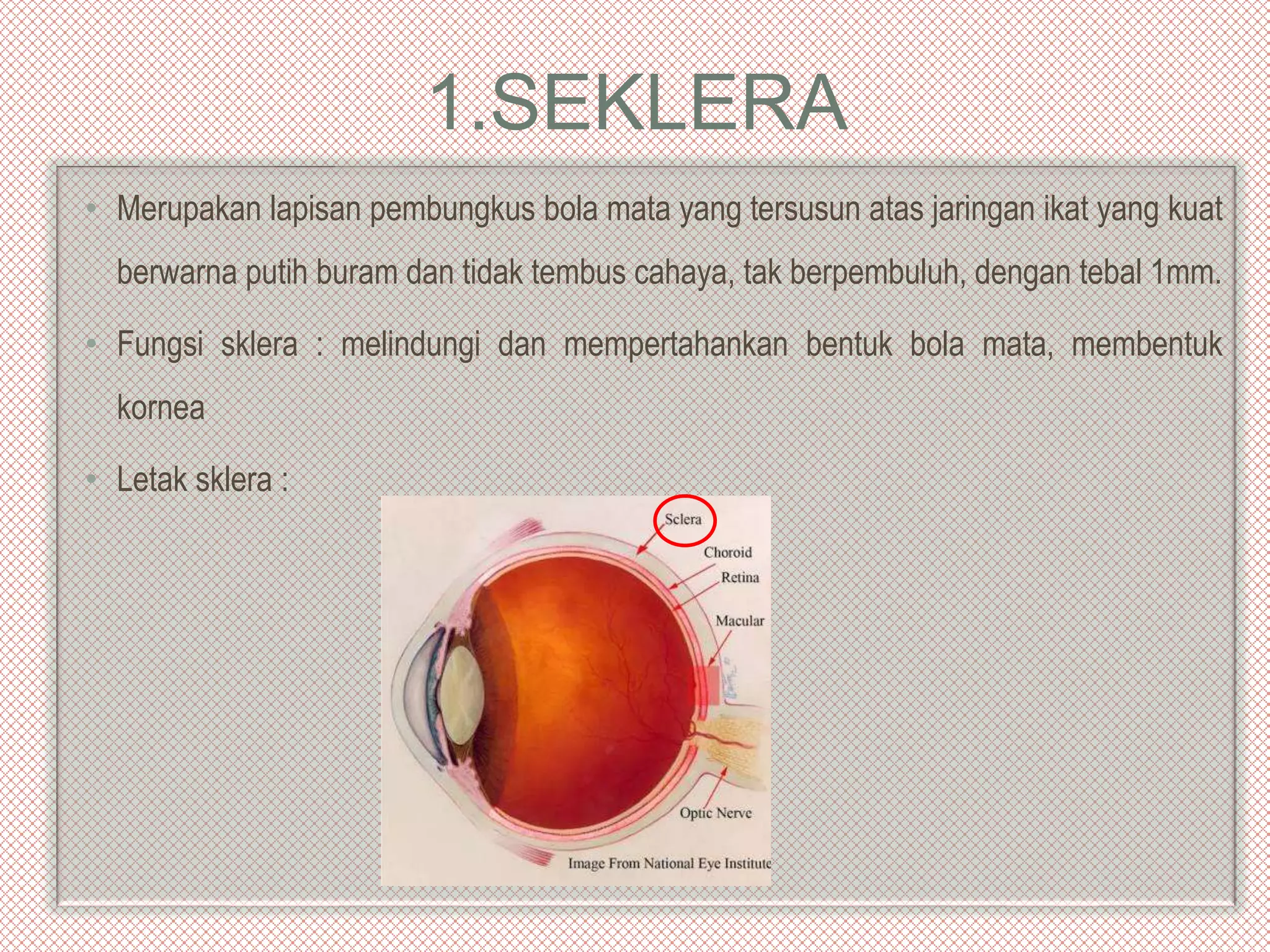 Kelompok 4 | PPTX