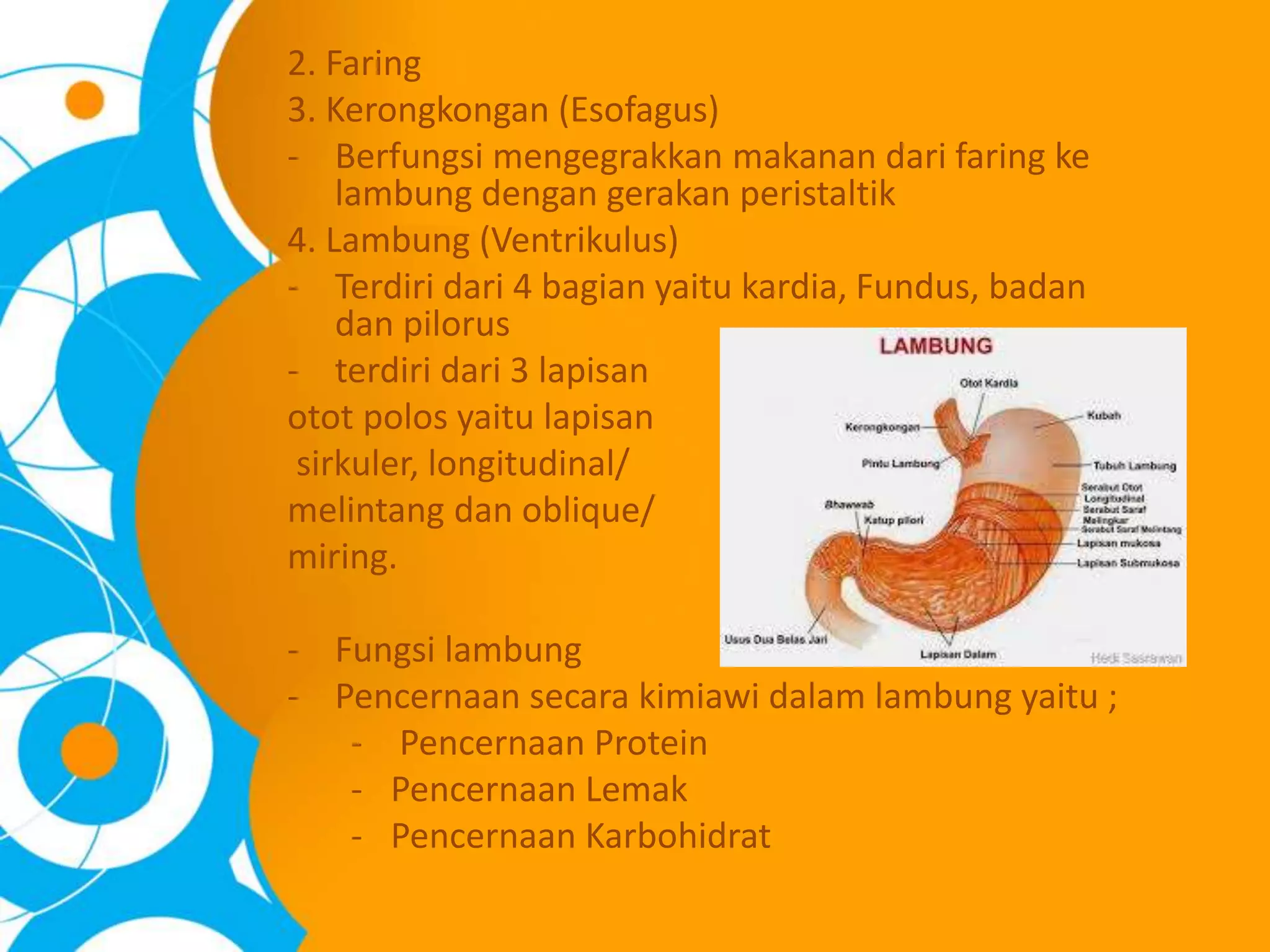 Biologi "Makanan dan Sistem Pencernaan" | PPTX