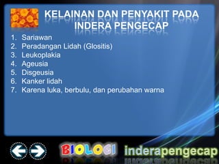 indera pengecap | PPT