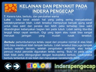 indera pengecap | PPT