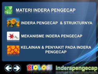 indera pengecap | PPT