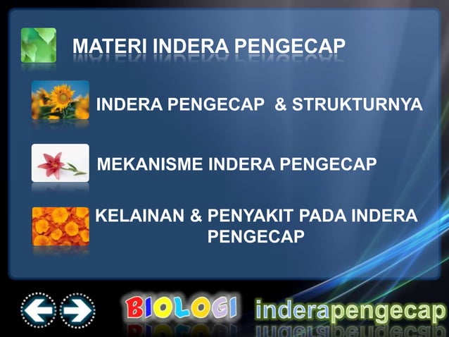 indera pengecap | PPT