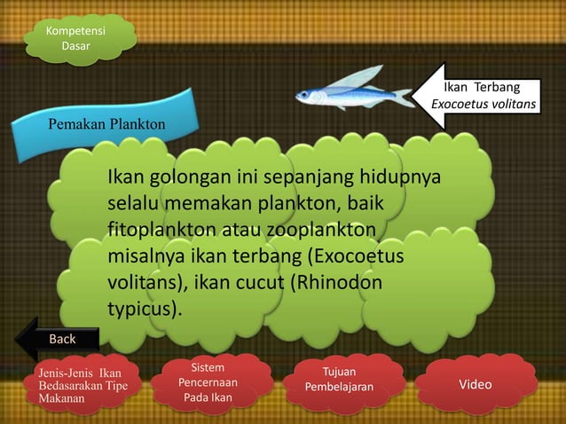 Makanan dan Alat - Alat Pencernaan Pada Ikan | PPTX