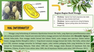 Materi Biodiversitas Angiospermae.pptx.pdf