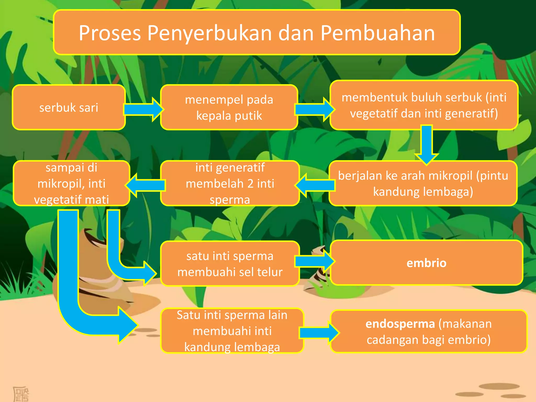 Pertumbuhan Generatif pada Tanaman | PPTX