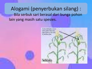 Pertumbuhan Generatif pada Tanaman | PPTX