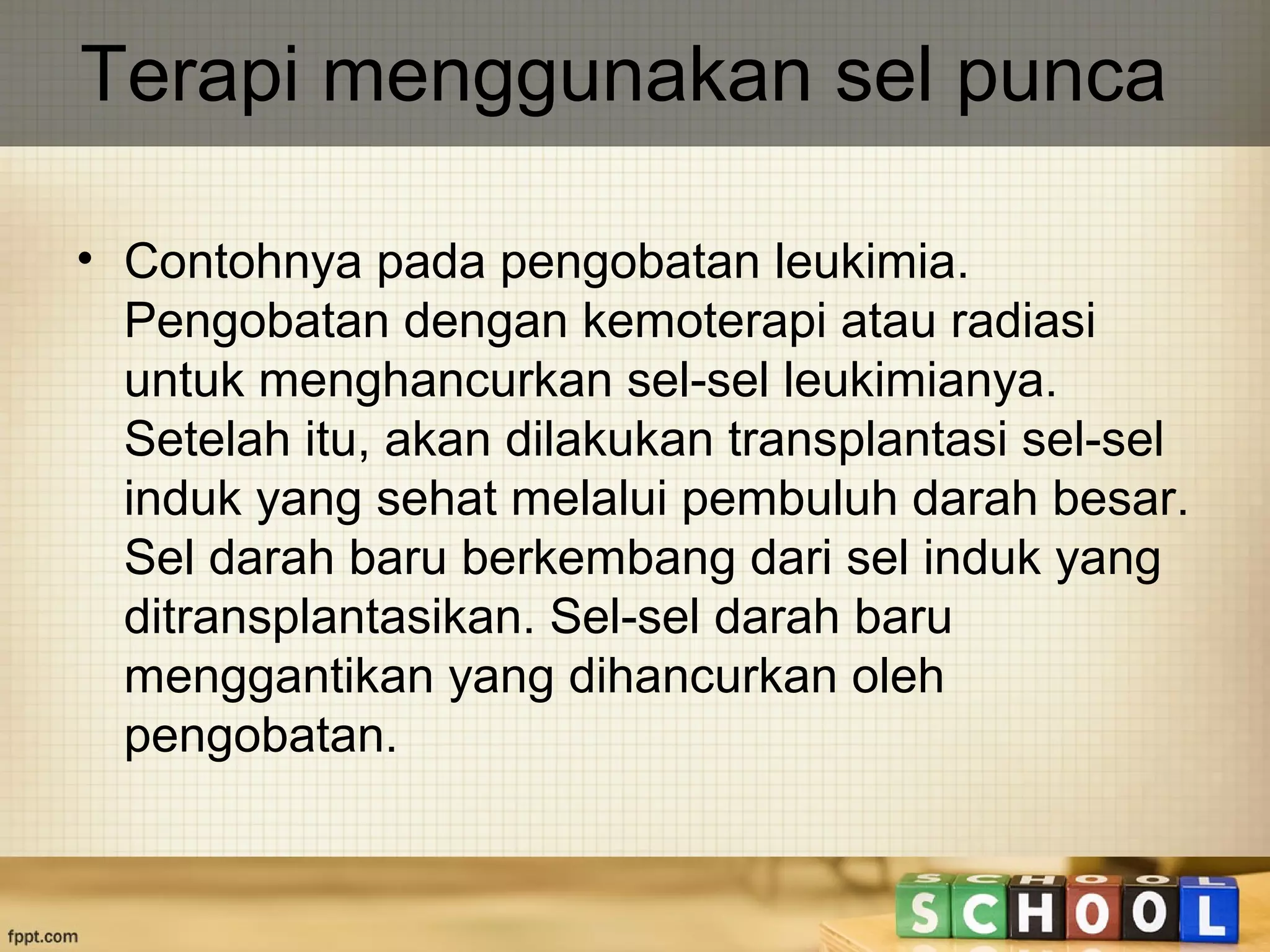 Kelompok 4b sel punca stem cell | PPT