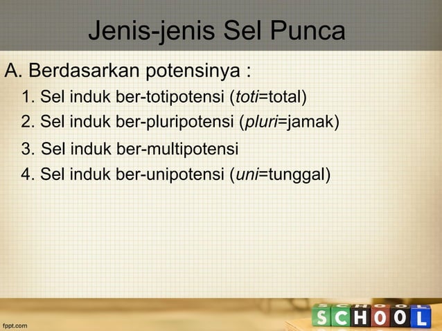 Kelompok 4b sel punca stem cell | PPT