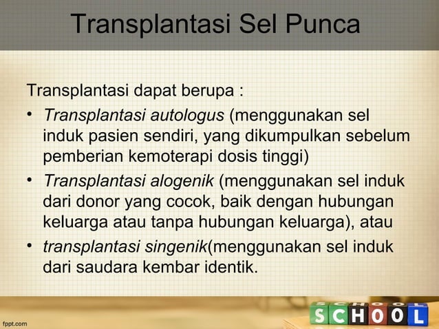 Kelompok 4b sel punca stem cell | PPT