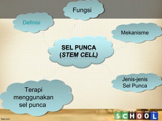 Kelompok 4b sel punca stem cell | PPT