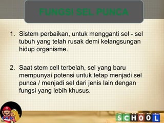 Kelompok 4b sel punca stem cell | PPT