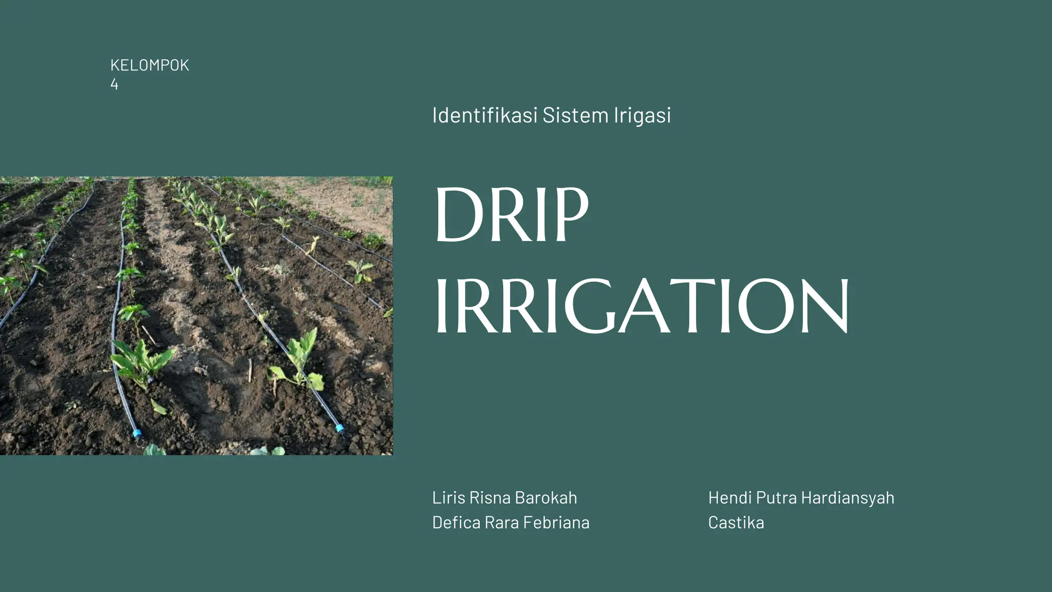 kelompok 4_drip irrigation(irigasi tetes).pptx