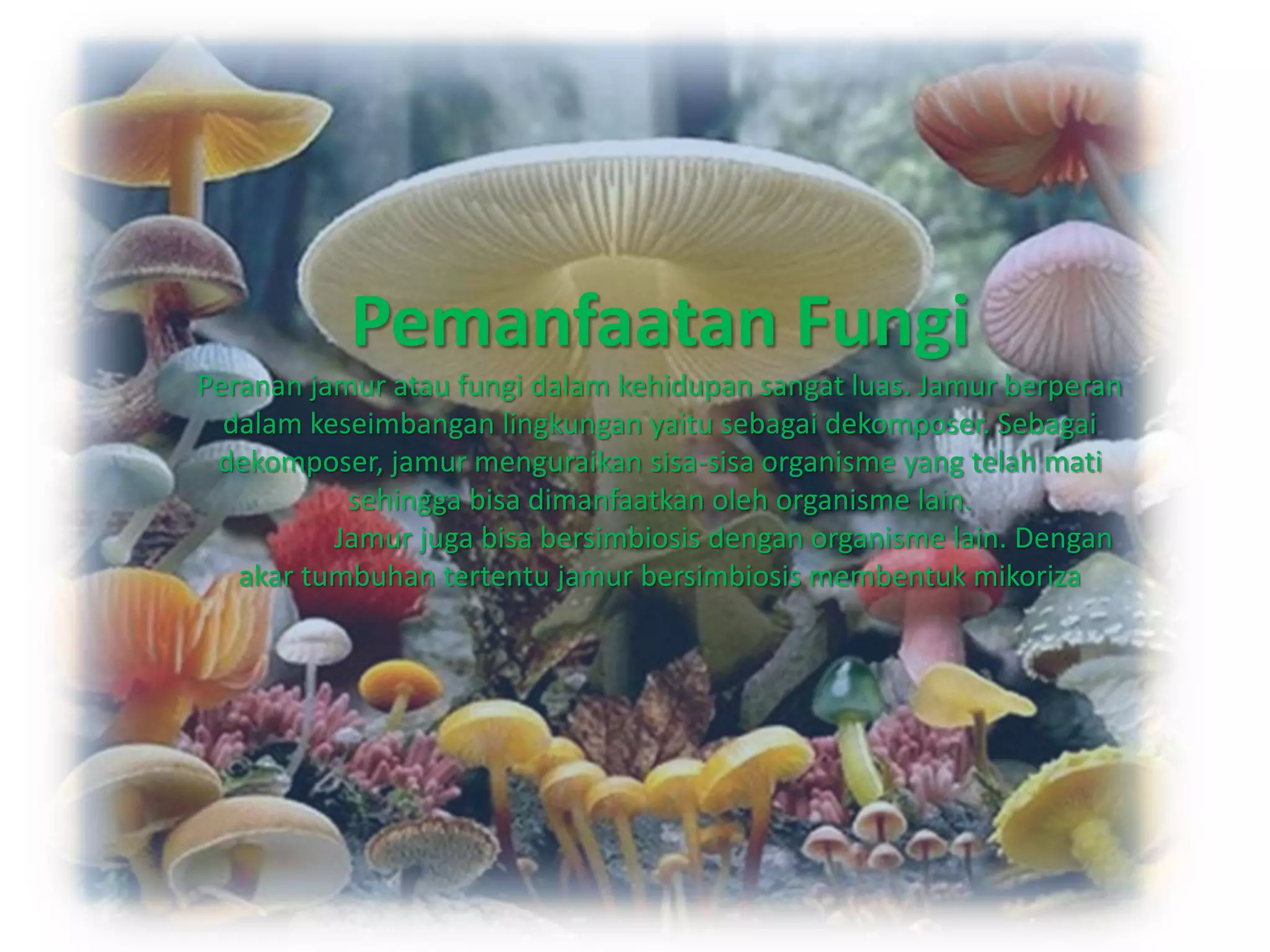 Botani Tumbuhan Rendah ( FUNGI_JAMUR) STIKIP Banjarmasin | PPTX