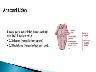KELOMPOK 4 INDERA PENGECAP SISTEM PENCERNAAN MANUSIA | PPT