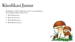 Kindom Fungi Kelas 7 SMP - Kurikulum Merdeka.pptx