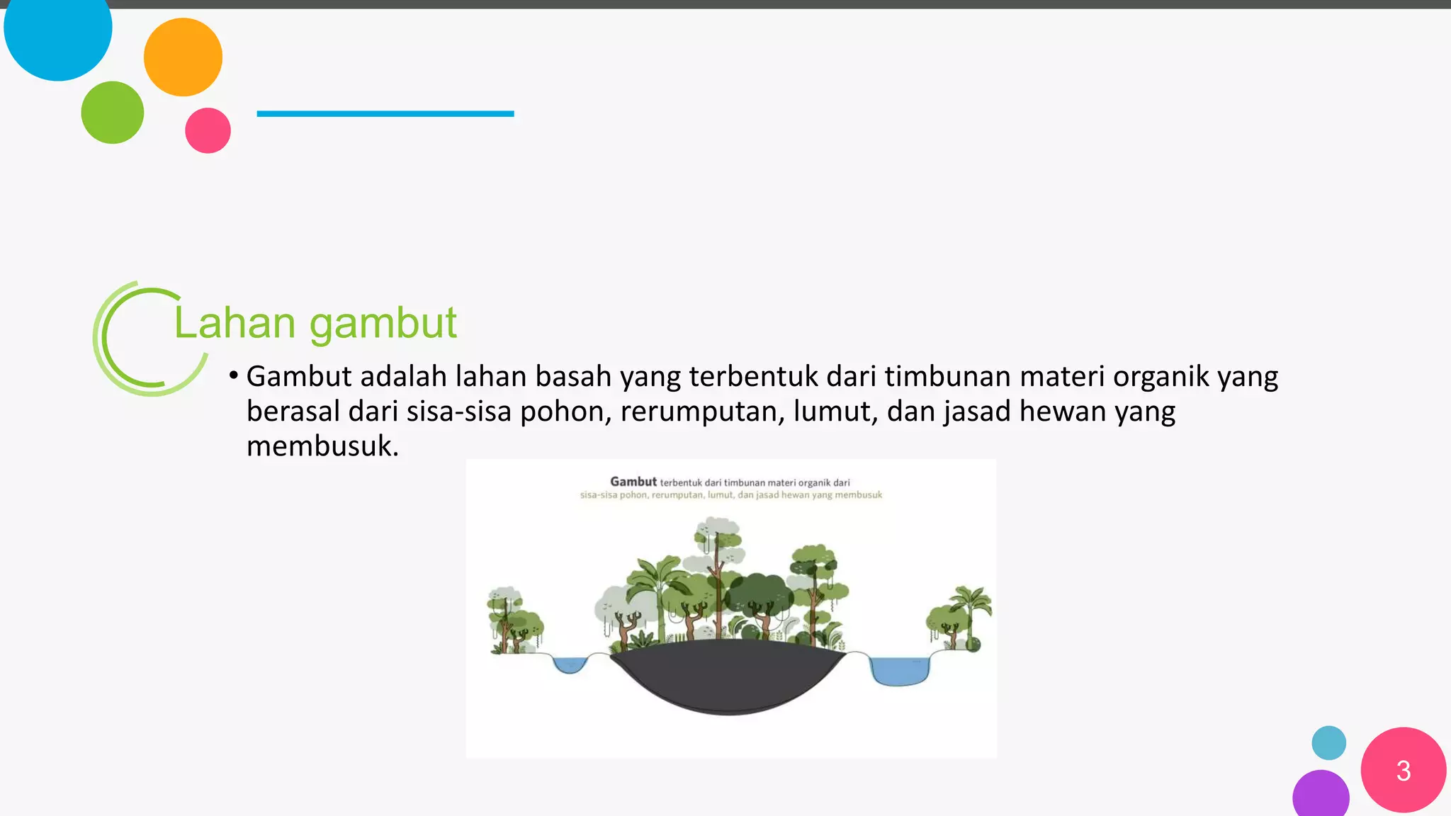 Kelompok 4 lahan gambut | PPTX