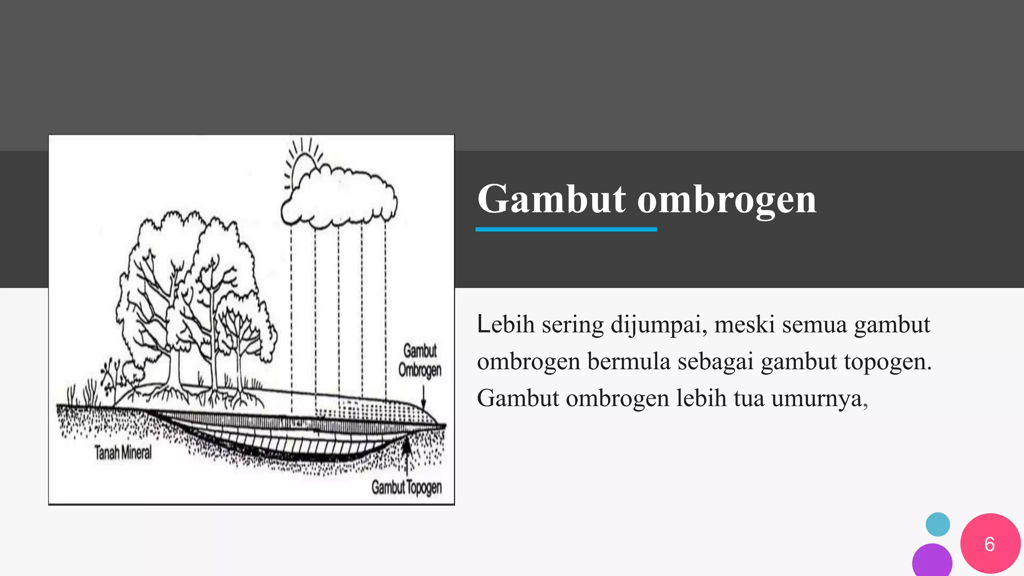 Kelompok 4 lahan gambut | PPTX