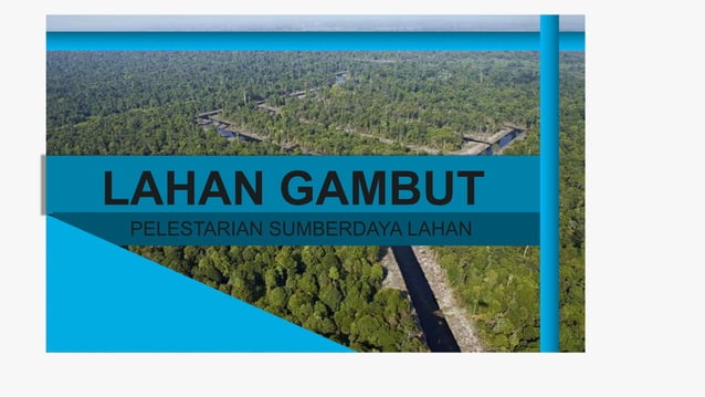 Kelompok 4 lahan gambut | PPTX