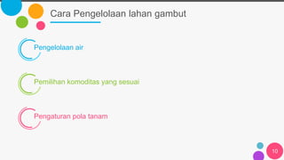 Kelompok 4 lahan gambut | PPTX