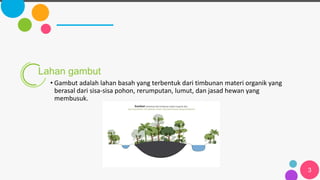 Kelompok 4 lahan gambut | PPTX