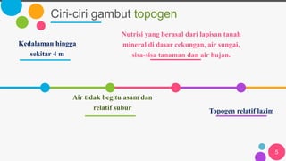 Kelompok 4 lahan gambut | PPTX