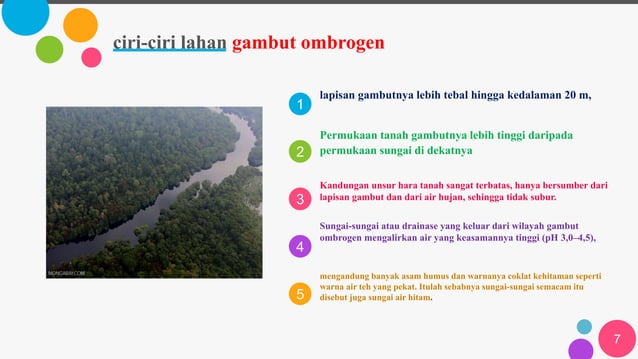 Kelompok 4 lahan gambut | PPTX