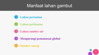 Kelompok 4 lahan gambut | PPTX