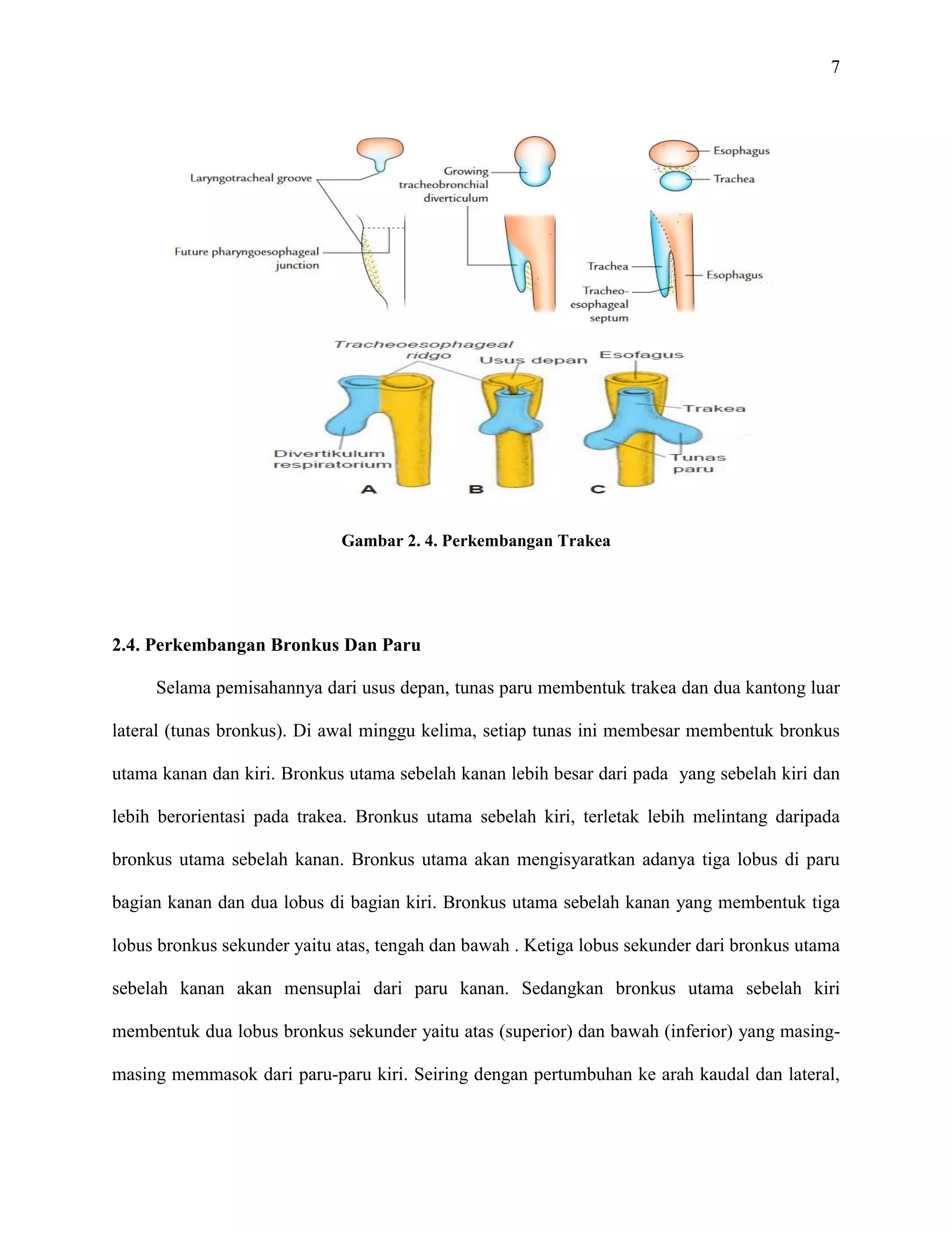 Makalah MK Embriologi Manusia Sistem Pernafasan.pdf