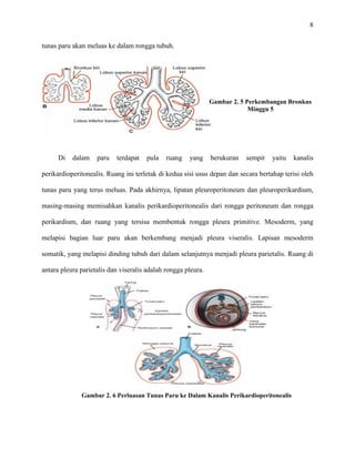 Makalah MK Embriologi Manusia Sistem Pernafasan.pdf