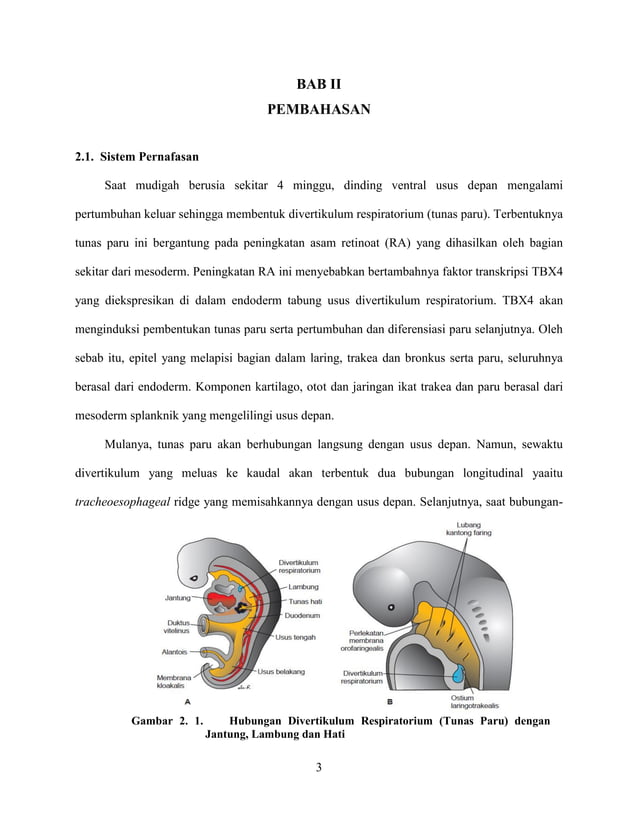 Makalah MK Embriologi Manusia Sistem Pernafasan.pdf
