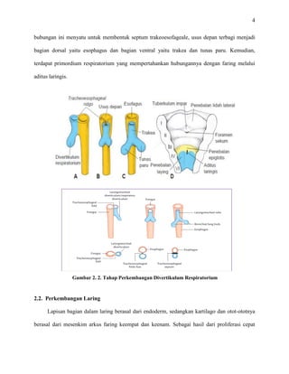 Makalah MK Embriologi Manusia Sistem Pernafasan.pdf