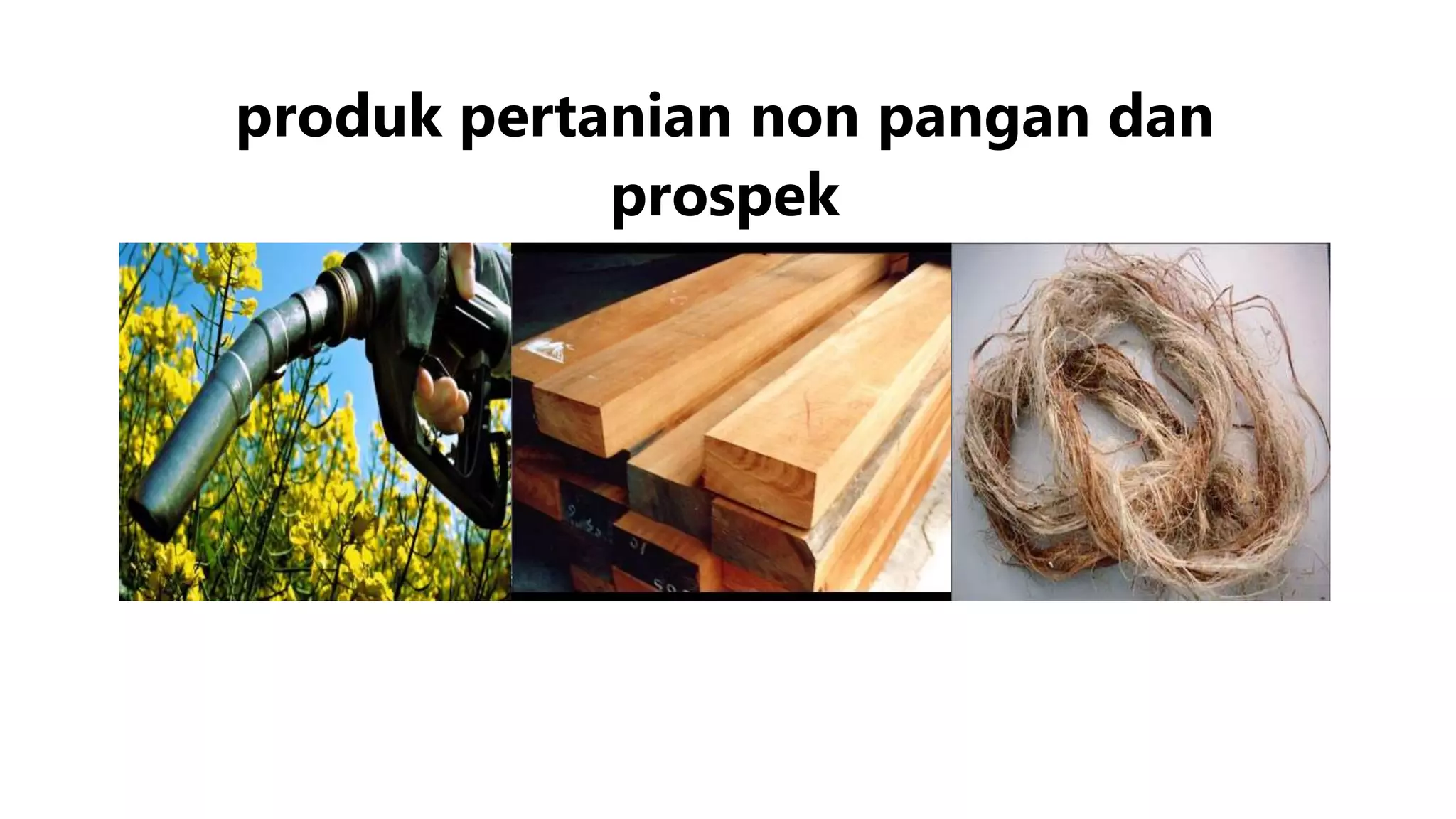 Kelompok 4, PIP, Produk pertanian non-pangan .pptx