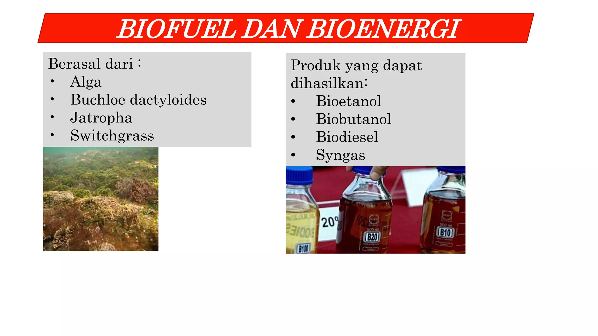 Kelompok 4, PIP, Produk pertanian non-pangan .pptx