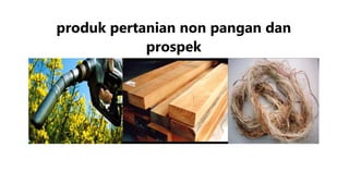 Kelompok 4, PIP, Produk pertanian non-pangan .pptx