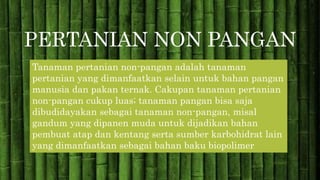 Kelompok 4, PIP, Produk pertanian non-pangan .pptx
